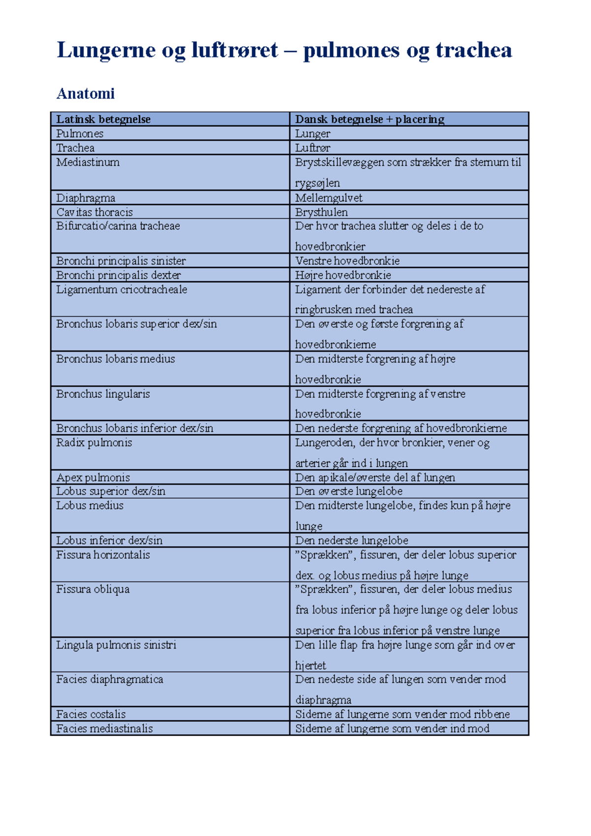 Lungerne og luftrøret - Luftvejens anatomi - kan nemt laves om til ...