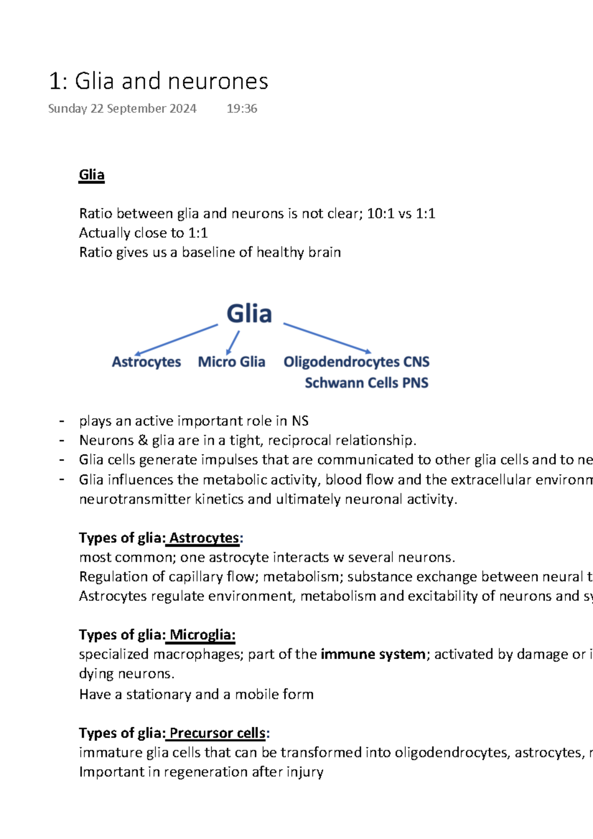 1 Glia and neurones - First lecture of neuro005 intro to neurobiology ...