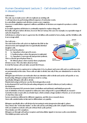 Human Development, Organogenesis and Anatomy Lecture 1 - Human ...