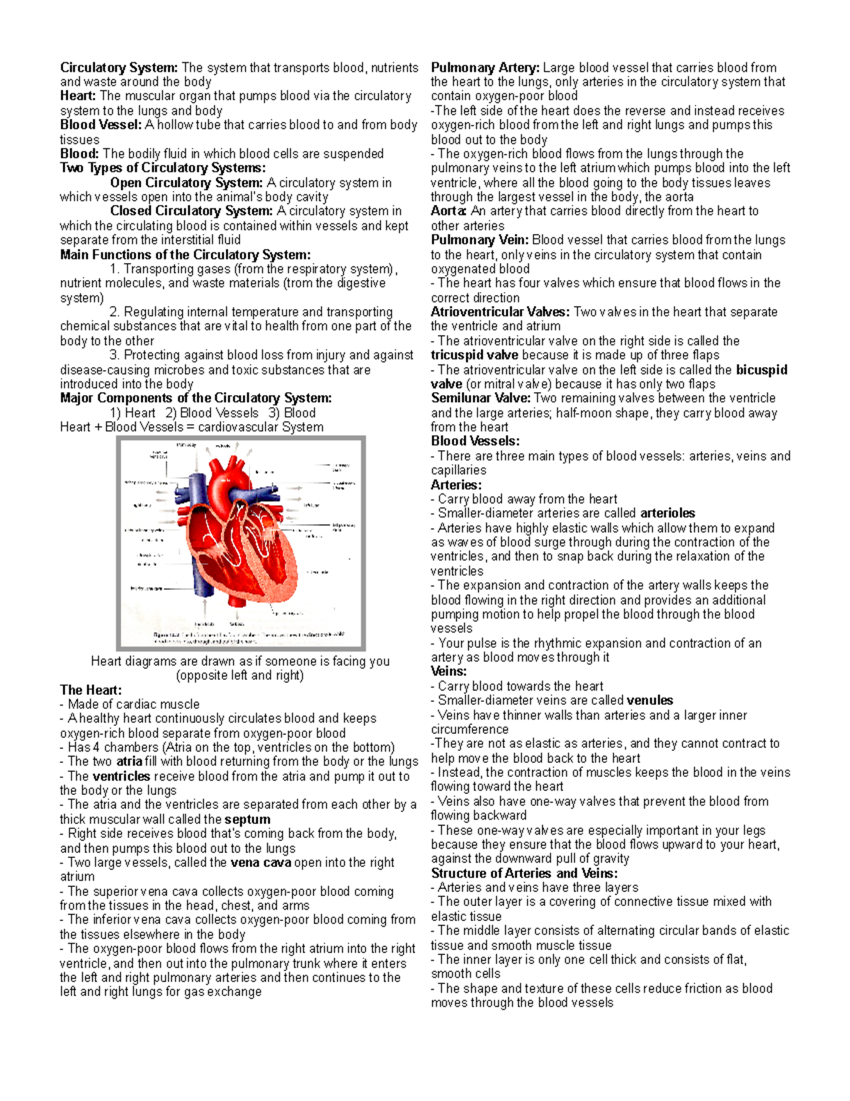Circulatory System Condensed Review - Circulatory System: The system ...
