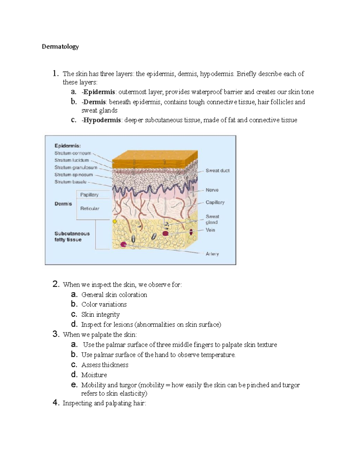 Exam 2 Study Guide - Summary Health Assessment I - Dermatology 1. The ...