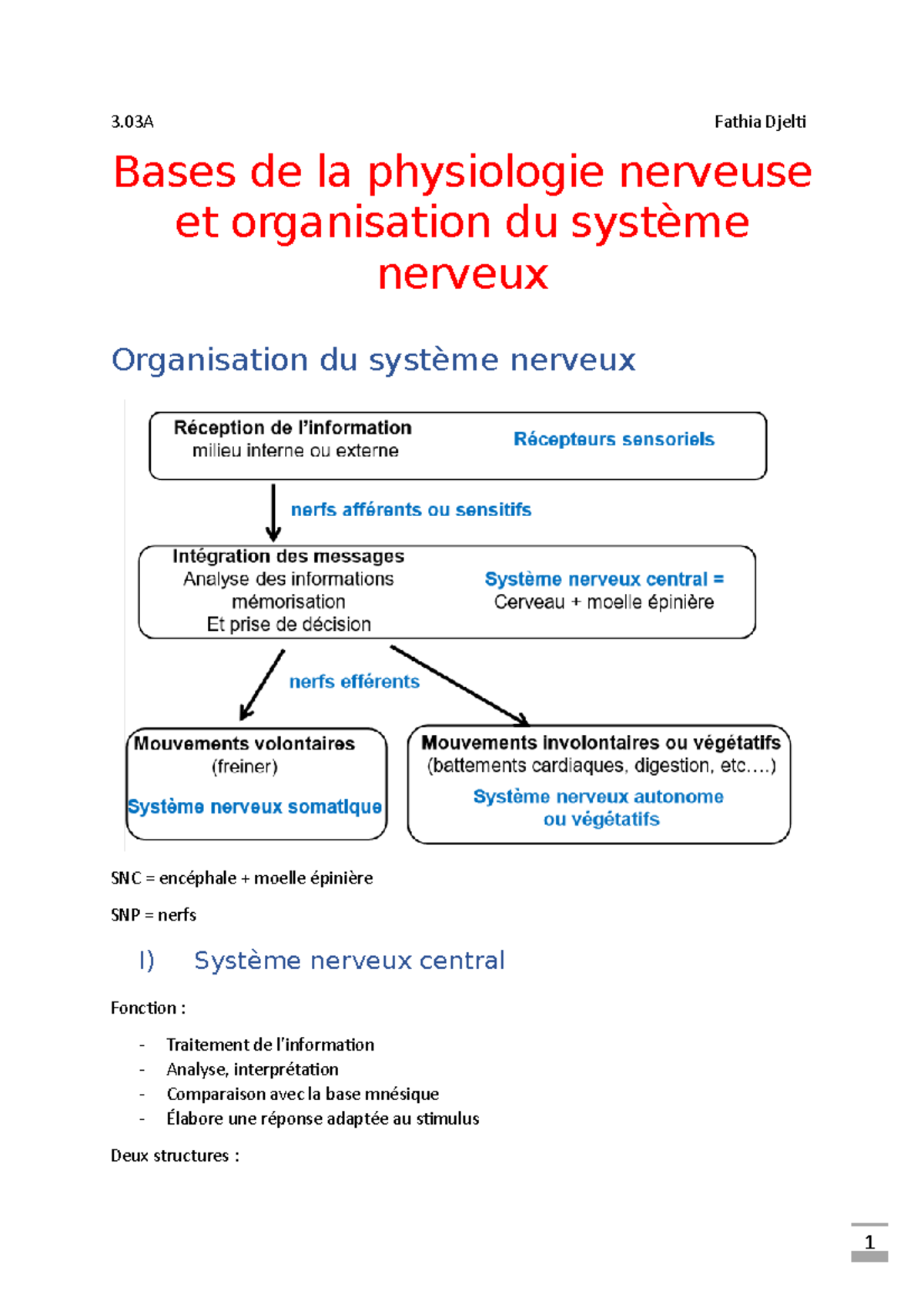 3.03a organisation du système nerveux djelti P3 - 3 Fathia Djelt Bases de la physiologie ...