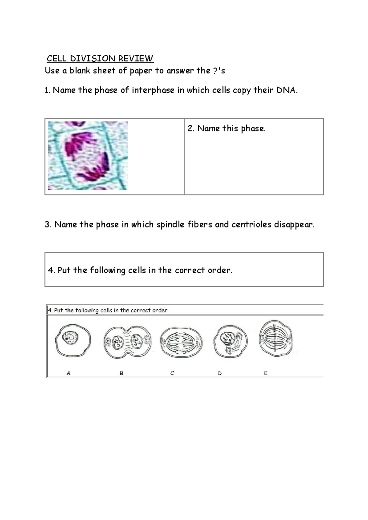 Mitosis quiz - Materials - CELL DIVISION REVIEW Use a blank sheet of ...