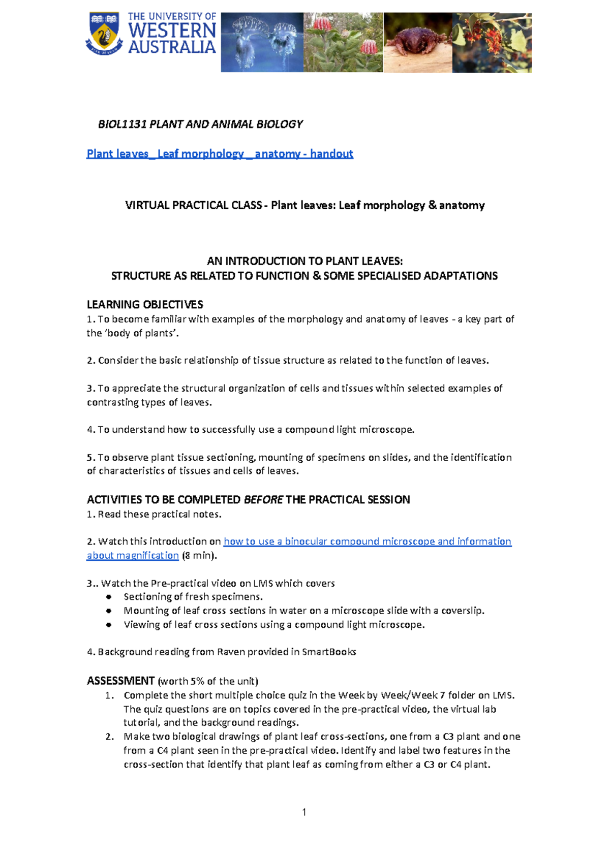 Plant leaves-Leaf morphology-anatomy-handout - BIOL1131 PLANT AND ...