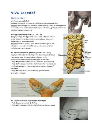 Anatomie leerstof - gluteus maximus F retroflexie, exorotatie heup ...