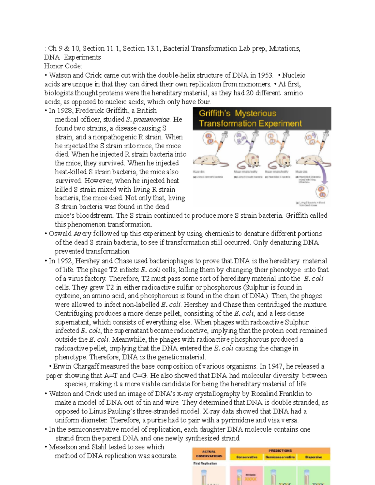 DNA Study Guide - : Ch 9 & 10, Section 11, Section 13, Bacterial ...