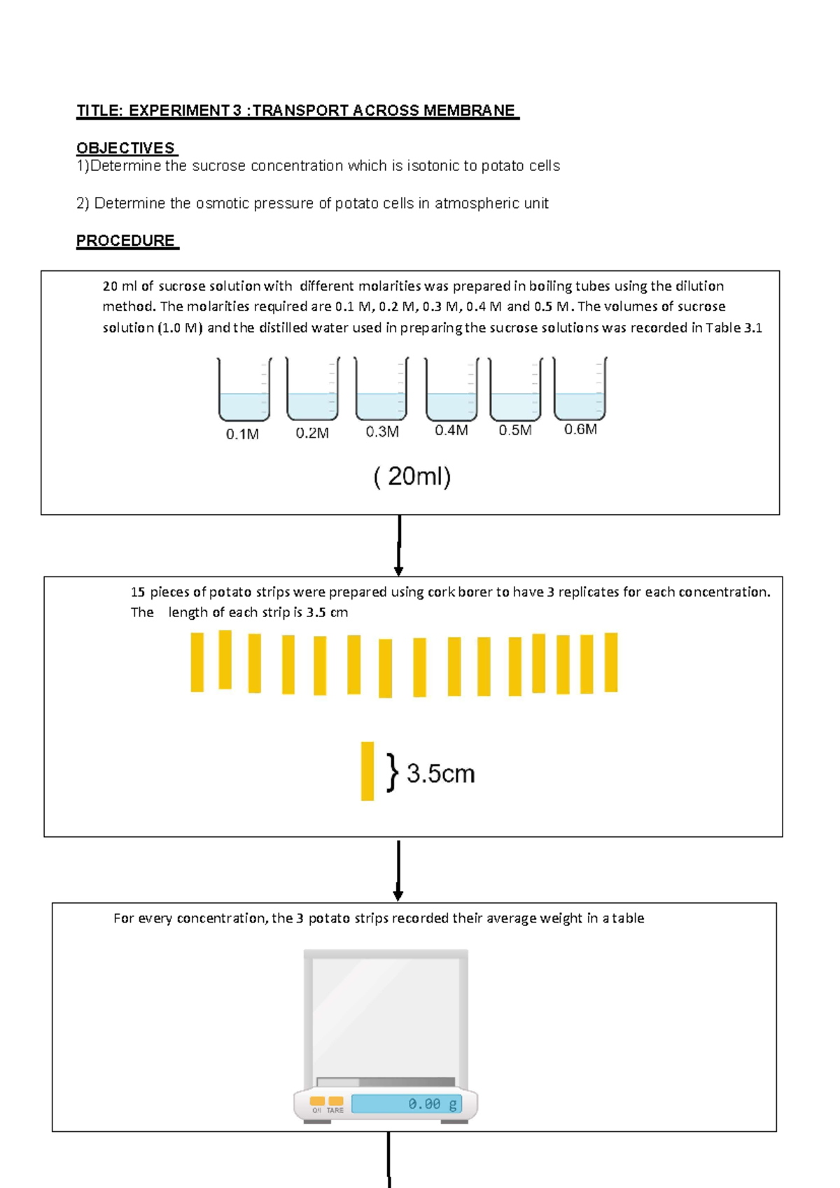 5 6165465865971044357 - TITLE: EXPERIMENT 3 :TRANSPORT ACROSS MEMBRANE OBJECTIVES 1)Determine ...