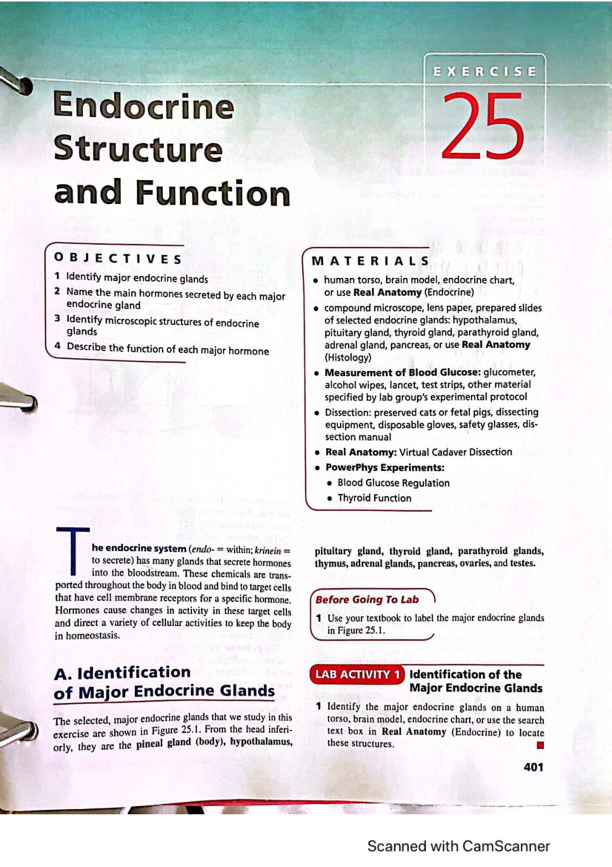 Endocrine structure and function - BIOL 141 - Studocu