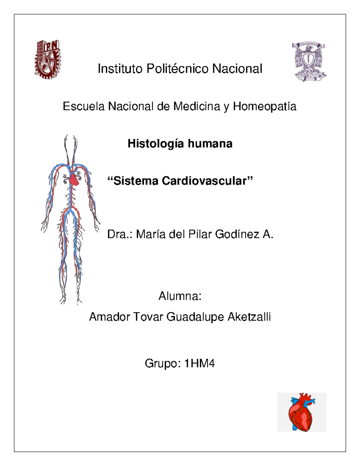 Sistema Cardiovascular - Warning: TT: undefined function: 32 Instituto Politécnico Nacional ...