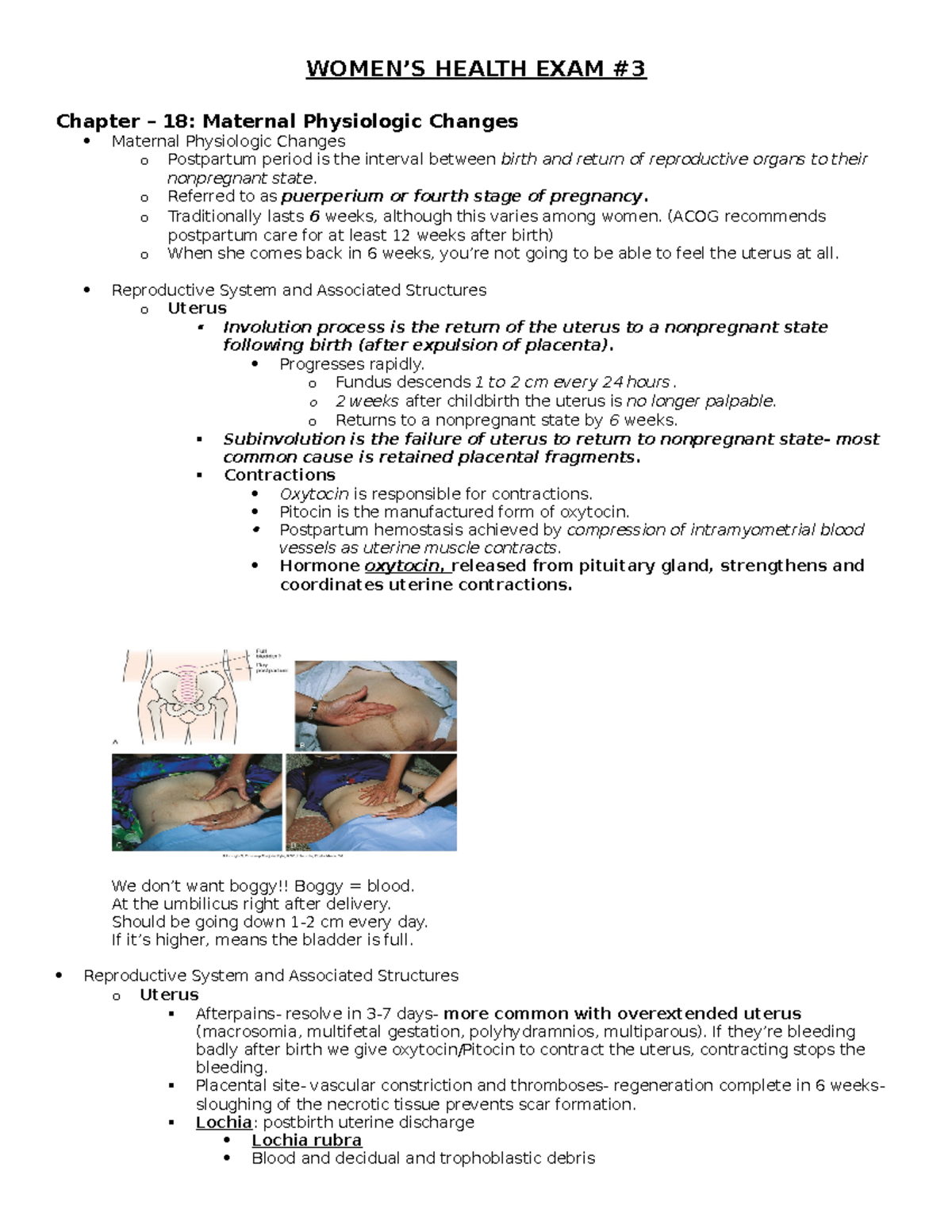 Womens Health EXAM #3 Study Guide - WOMEN’S HEALTH EXAM Chapter – 18: Maternal Physiologic ...