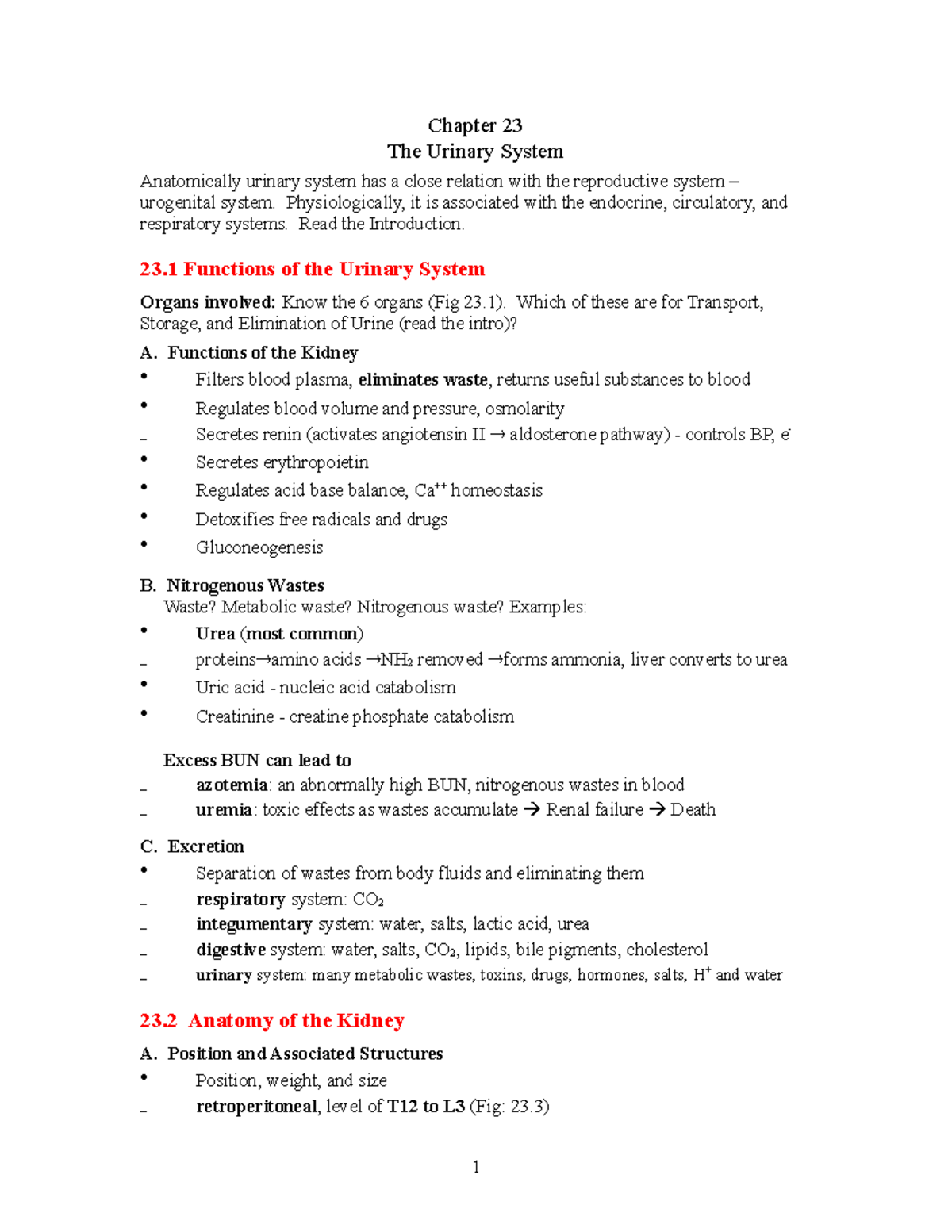 Chapter 23 Handout - Chapter 23 The Urinary System Anatomically urinary ...
