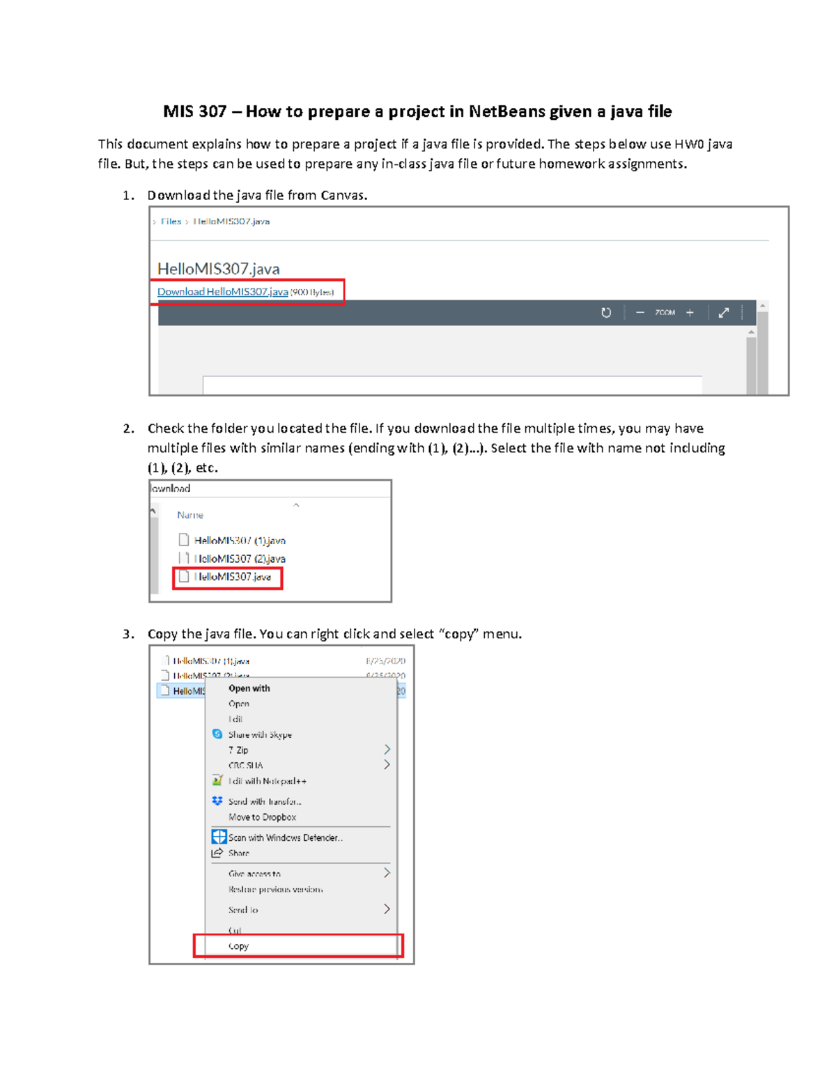 MIS 307 - how to prepare a project in Netbeans if a java file is provided - MIS 307 – How to ...