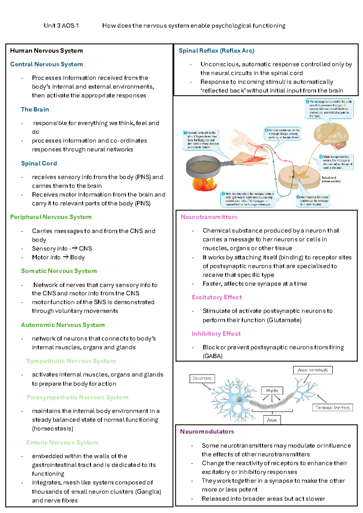 Unit 3 AOS 1 Summary Pages - Human Nervous System Central Nervous ...