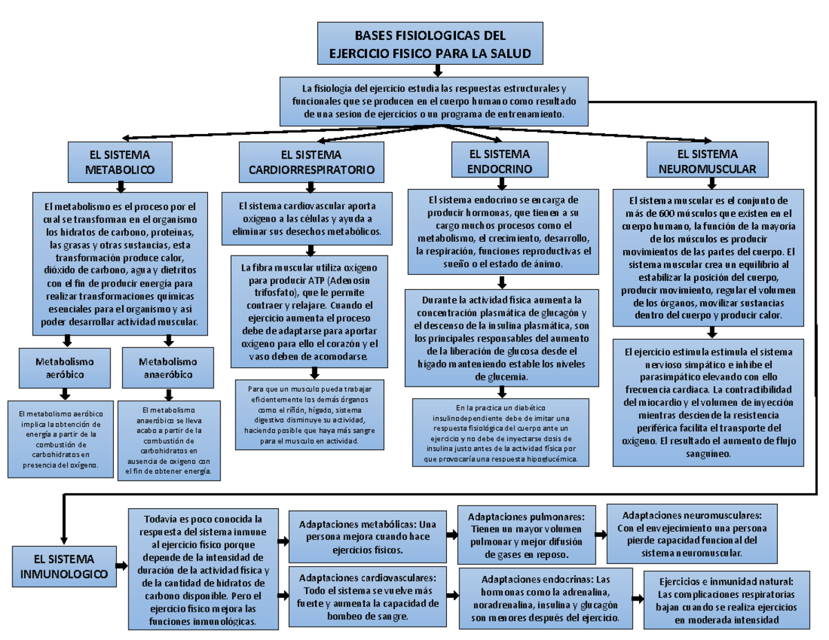 Bases Fisiologicas Organizador - BASES FISIOLOGICAS DEL EJERCICIO FISICO PARA LA SALUD La ...