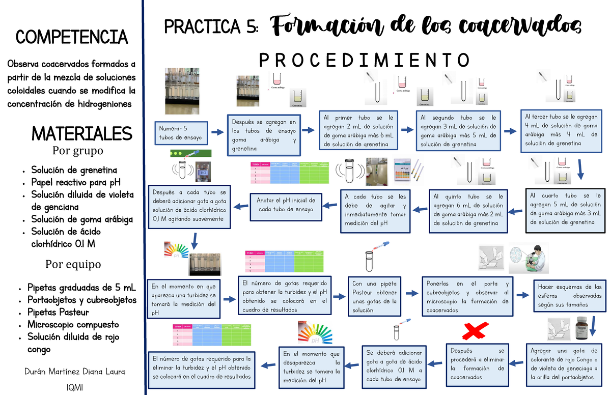 Practica- Formacion DE Coacervados - PRACTICA 5 : FormaciÛn de los ...
