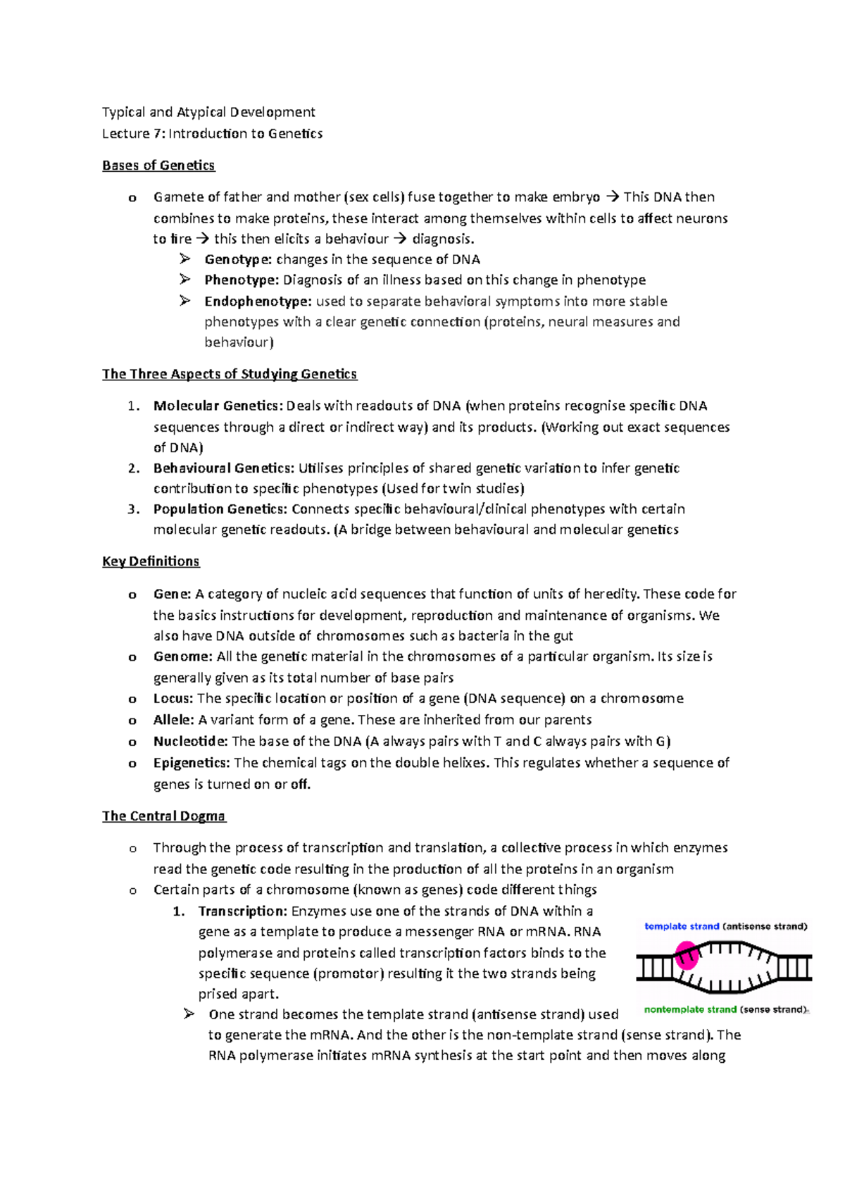 Typical & Atypical Development Part 2 Spring Lecture 7 - Typical and ...