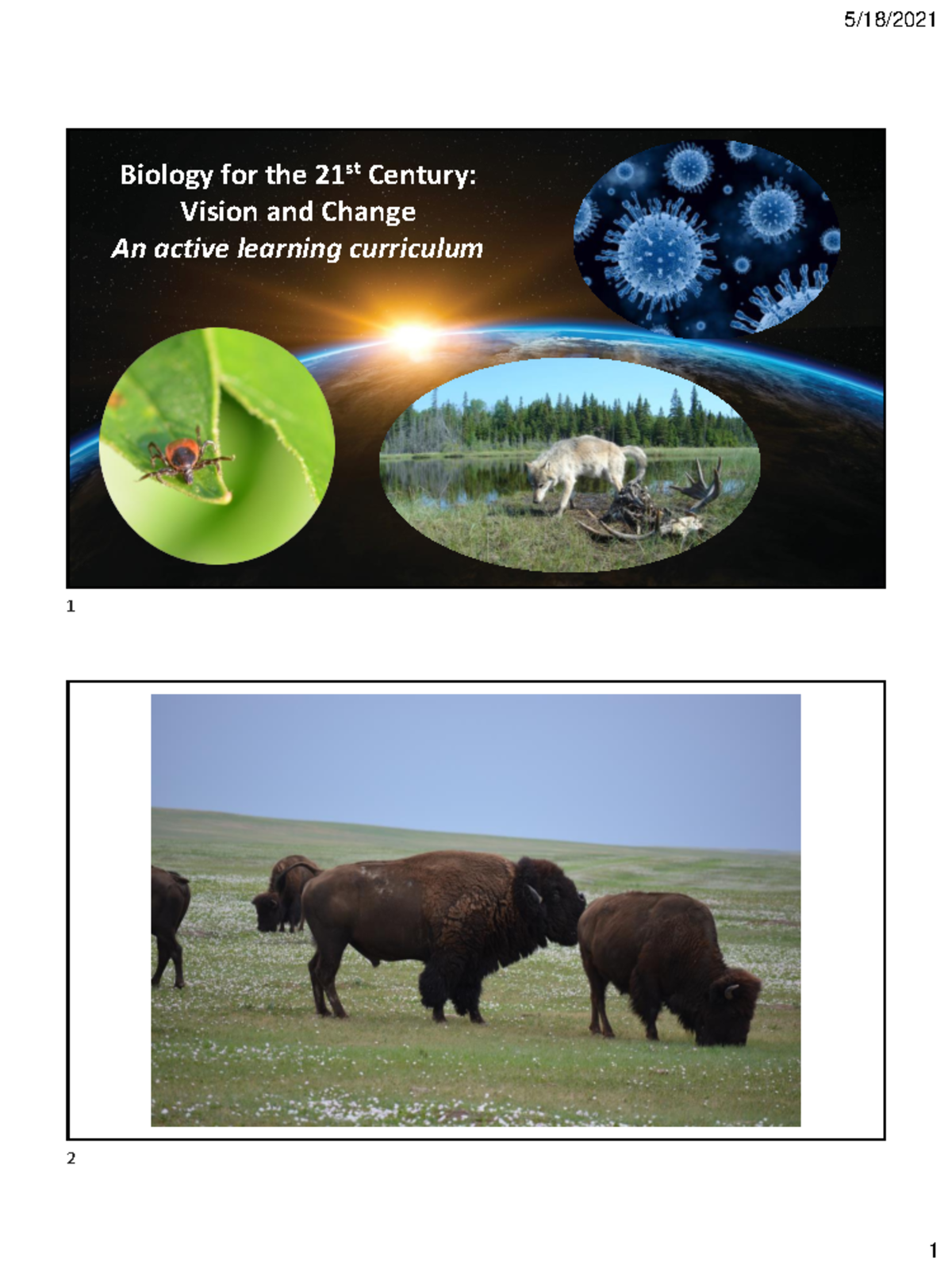 Unit 1 Lyme Disease - Slides for Students - Biology for the 21st ...