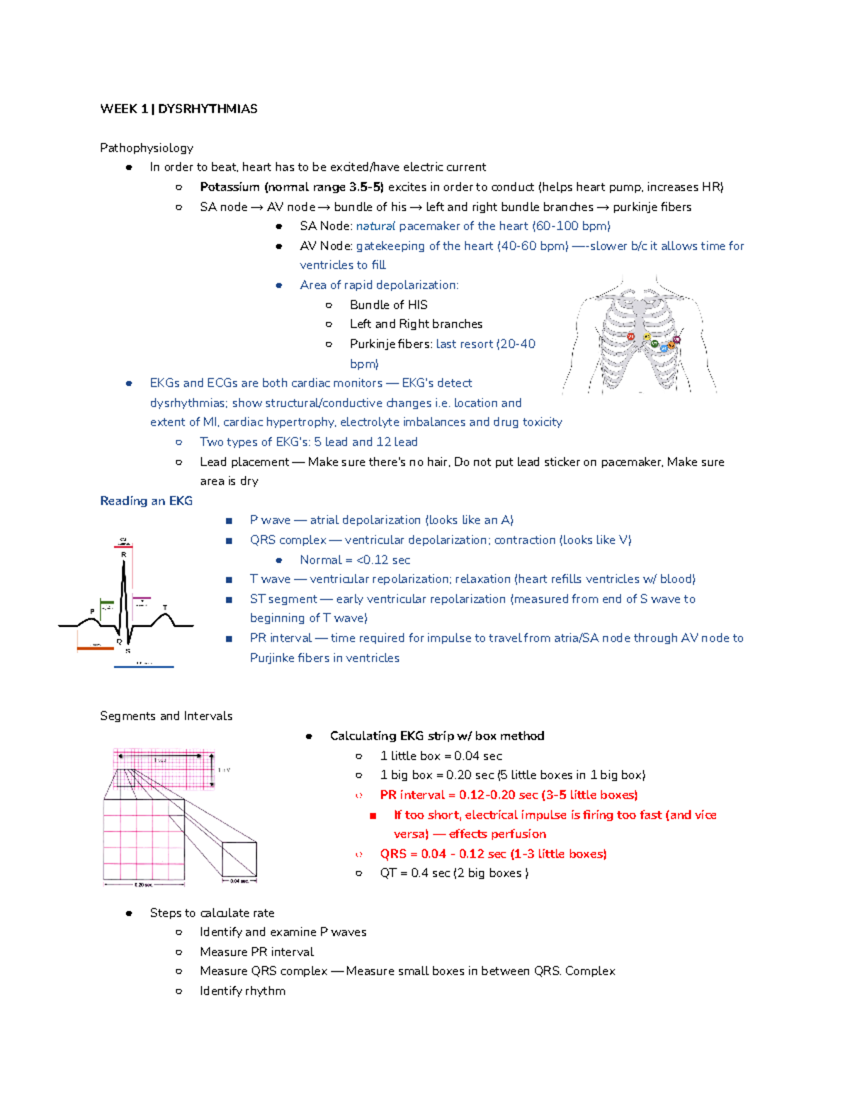 MS2 Exam 1 Notes - Cardiac - WEEK 1 | DYSRHYTHMIAS Pathophysiology In ...
