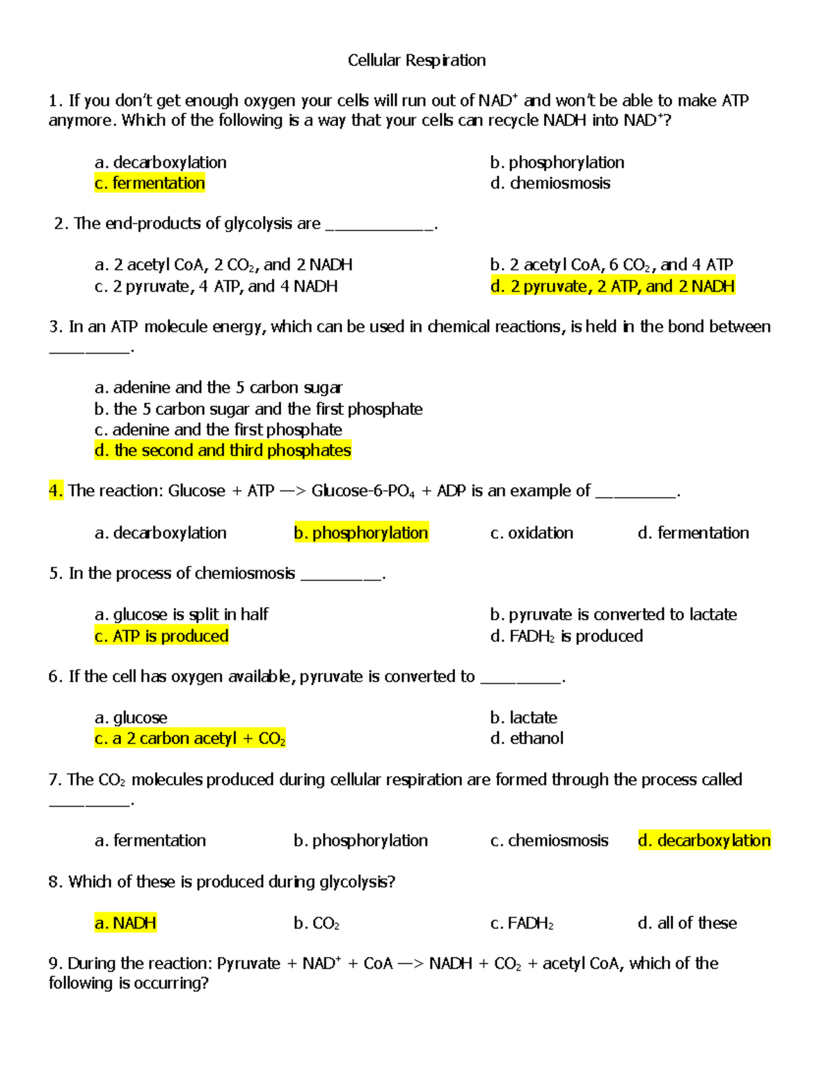 Cellular Respiration - Questions and Answers to questions on assignment ...