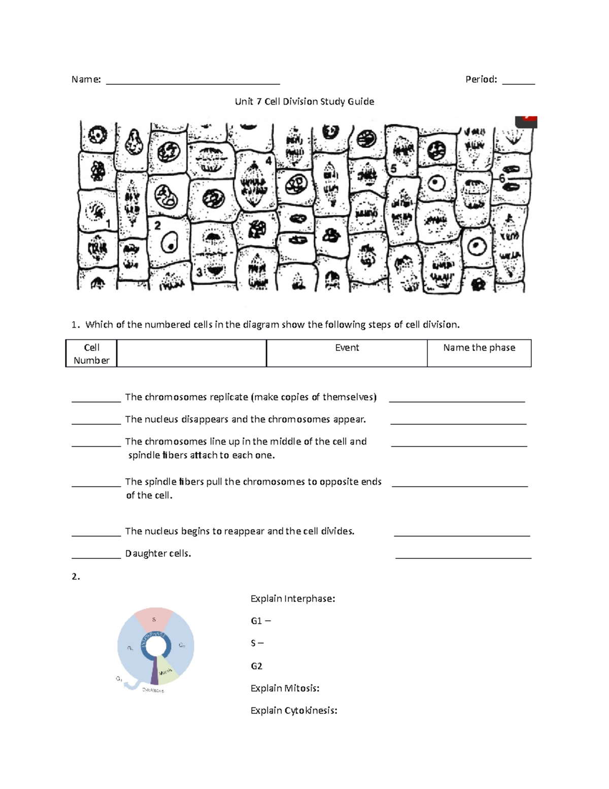 Unit 7 Cell Division Study Guide Mitosis and Meiosis - BIO 219 - Studocu