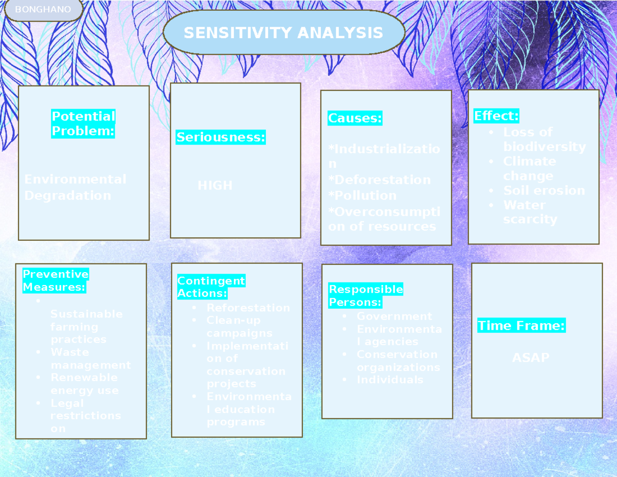 Sensitivity Analysis Econ-Dev - SENSITIVITY ANALYSIS BONGHANO Y Potential Problem: Environmental ...