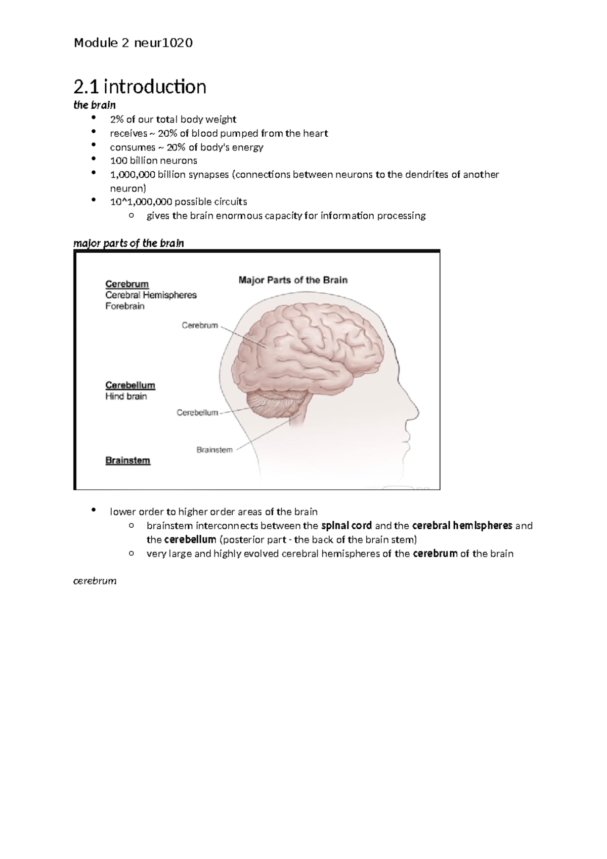 Module two neur1020 notes - 2 introduction the brain 2% of our total ...
