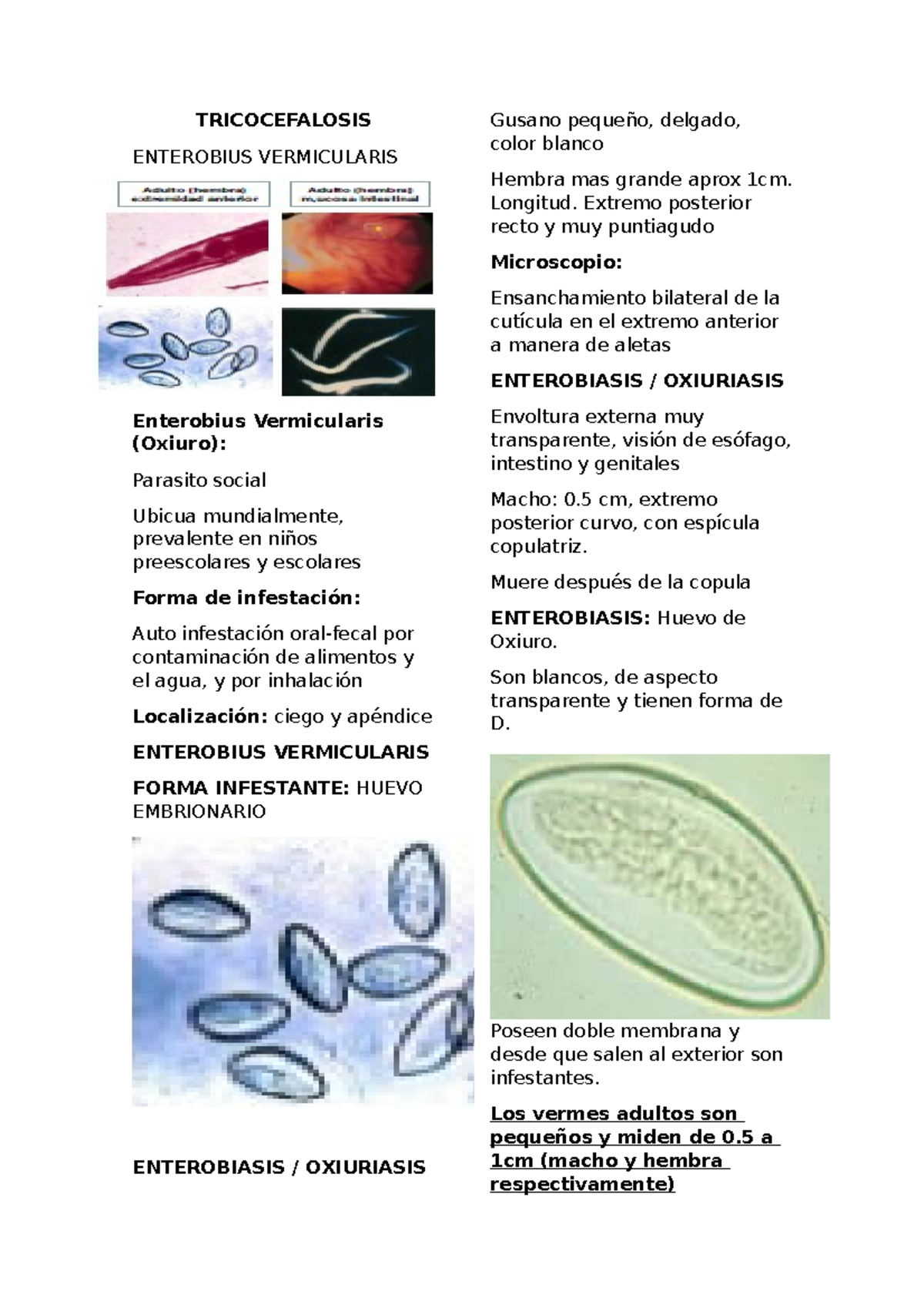 Entobiasis - asdasdasdad - TRICOCEFALOSIS ENTEROBIUS VERMICULARIS ...