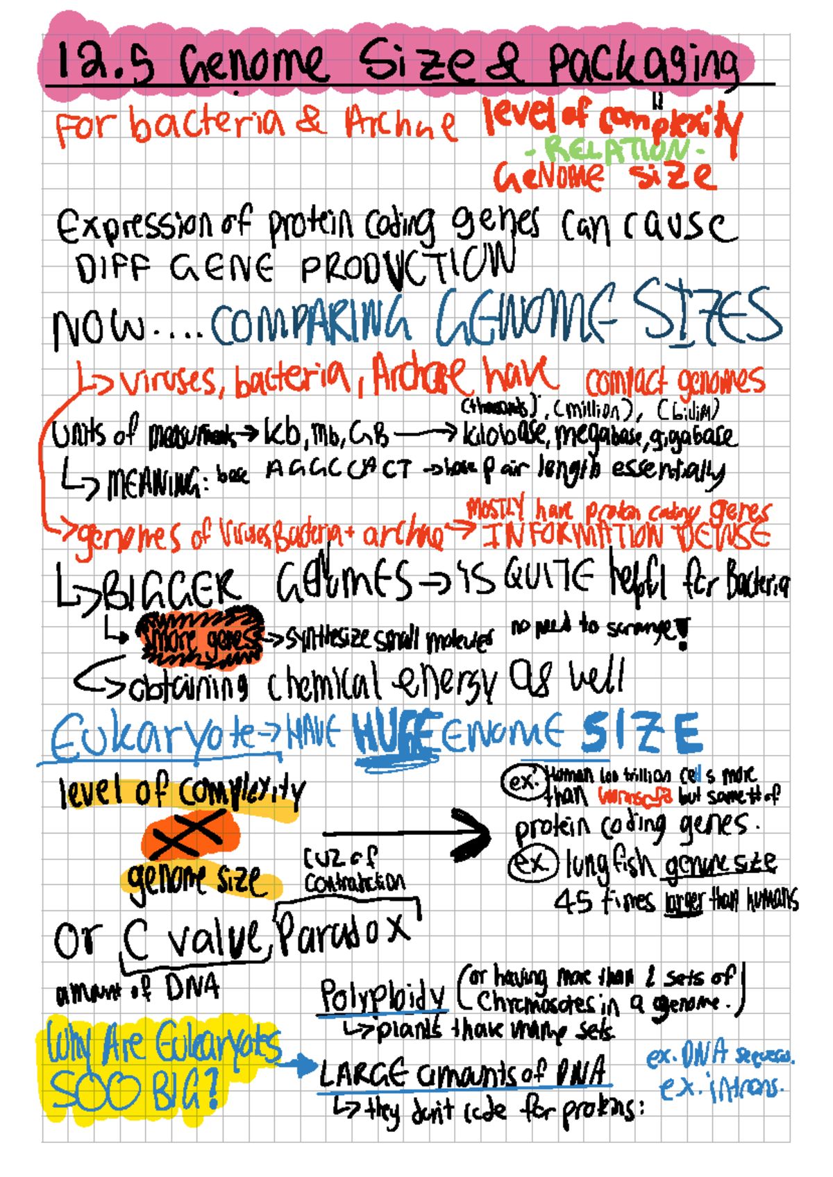 Week 1 major Notes - 12 Genome Size Packaging 11 for bacteria Archue ...