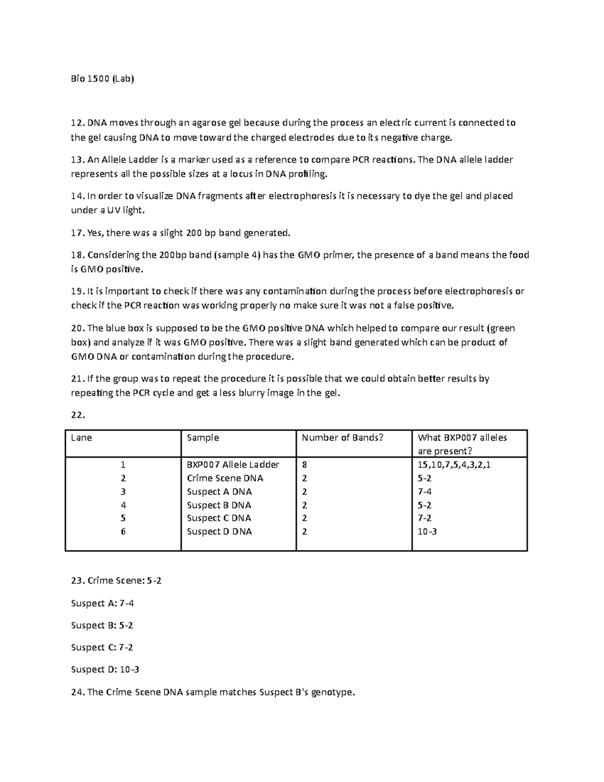 GMO Lab II - PART II - Bio 1500 (Lab) DNA moves through an agarose gel ...