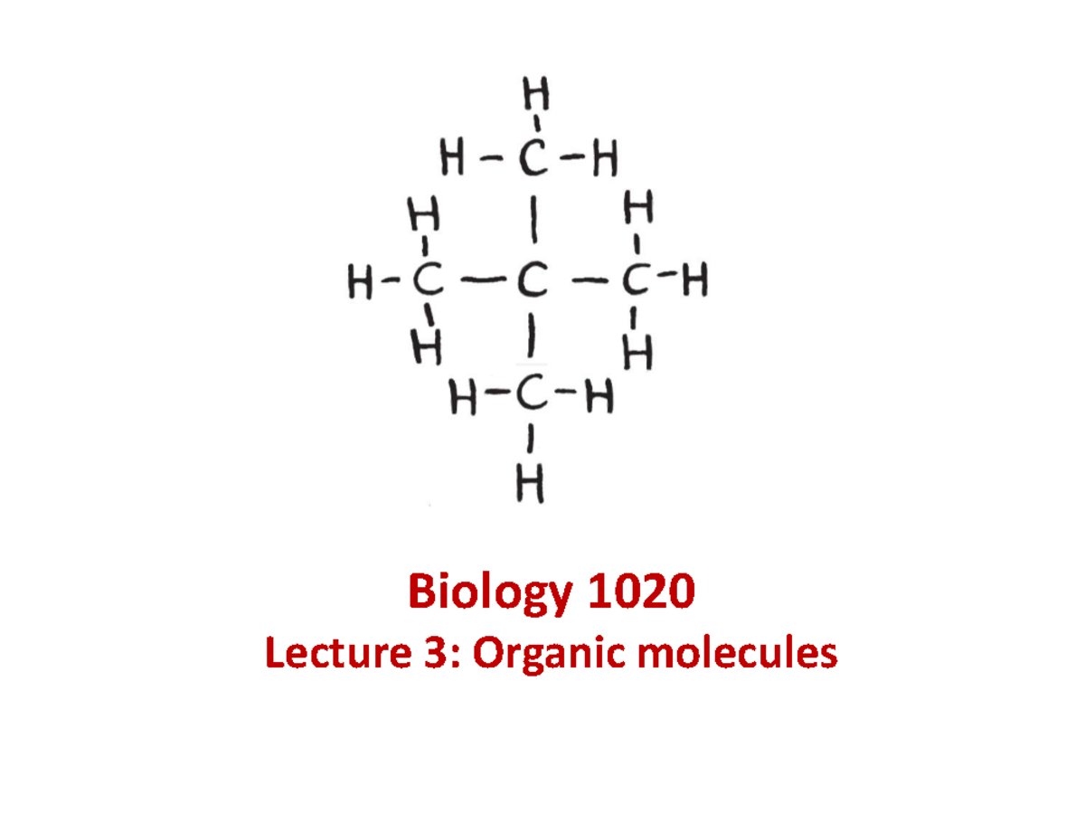 Lecture notes, lecture 3 - Organic Molecules - Biology 1020 Lecture 3 ...