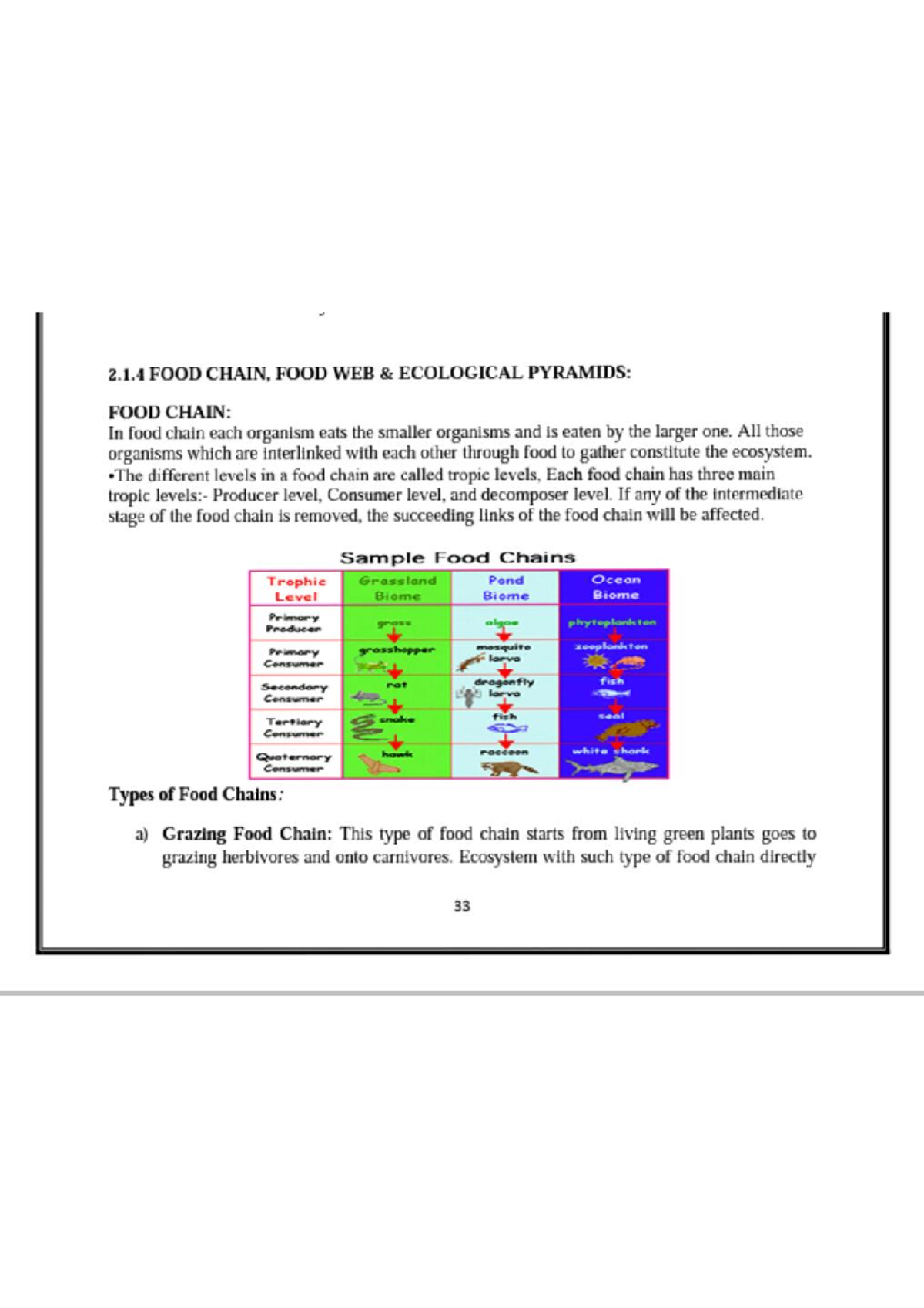 Food Chain - Cell biology - Studocu