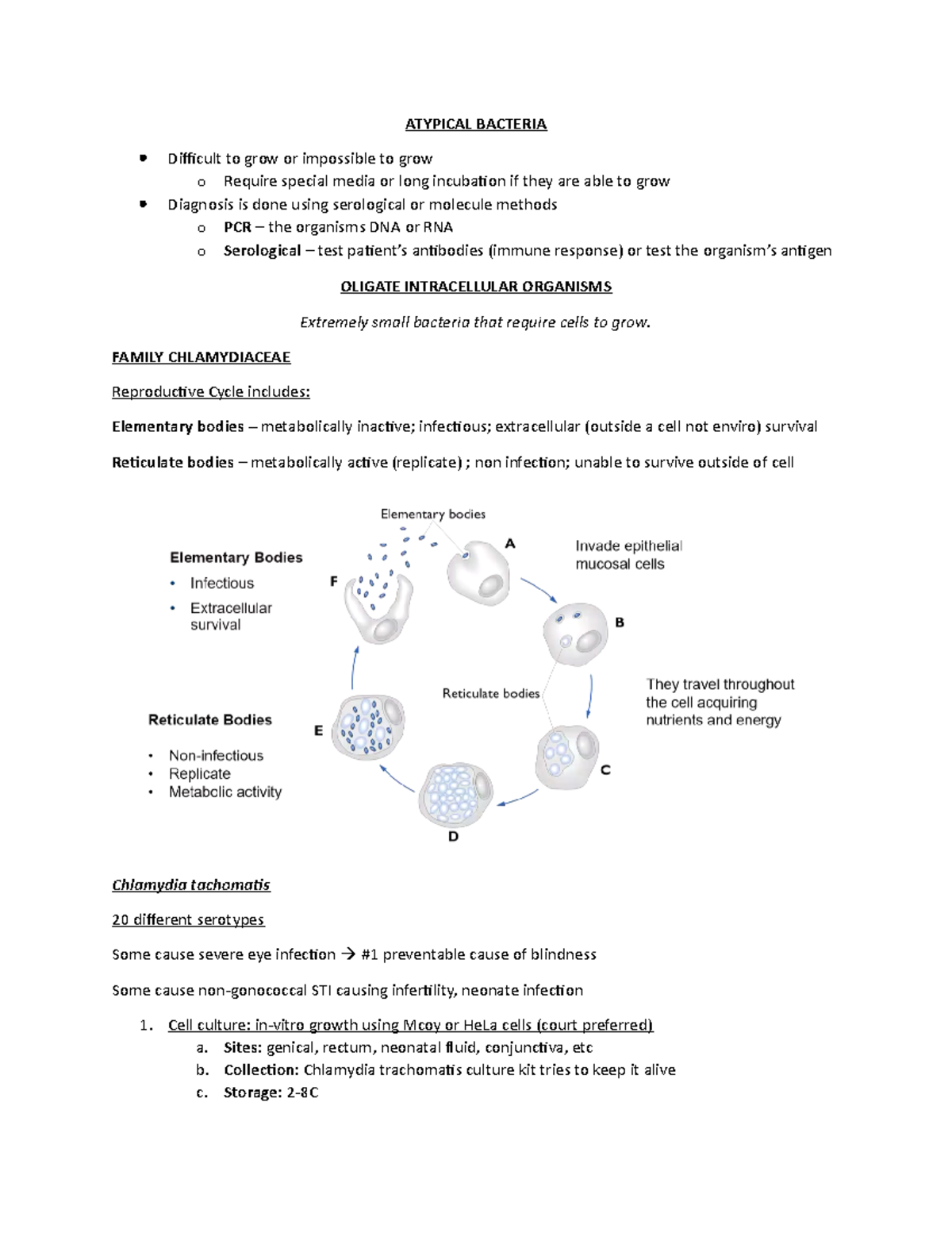 (7) Atypical Bacteria - Helene Goulding - ATYPICAL BACTERIA Difficult ...