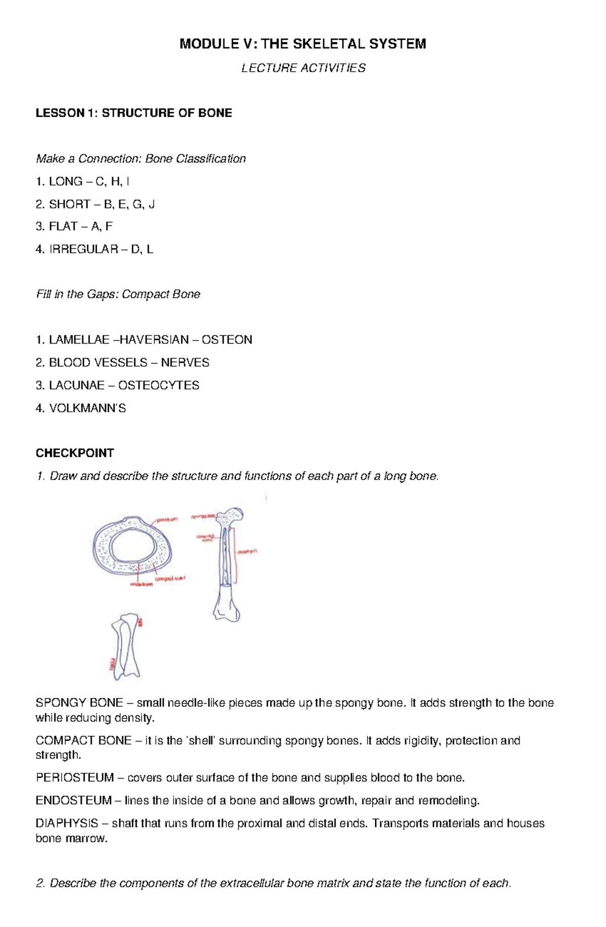 Dela Cruz, Virgilio Module 5 Lecture Activity - MODULE V: THE SKELETAL ...