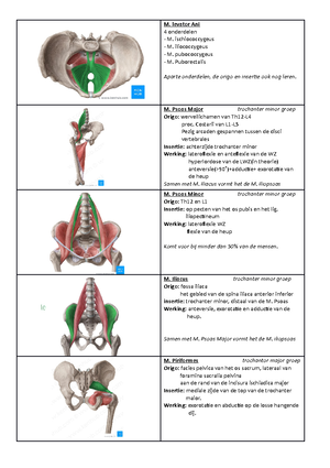 Anatomie; onderste kwadrant osteologie - Hoofdstuk 0: lumbosacrale ...