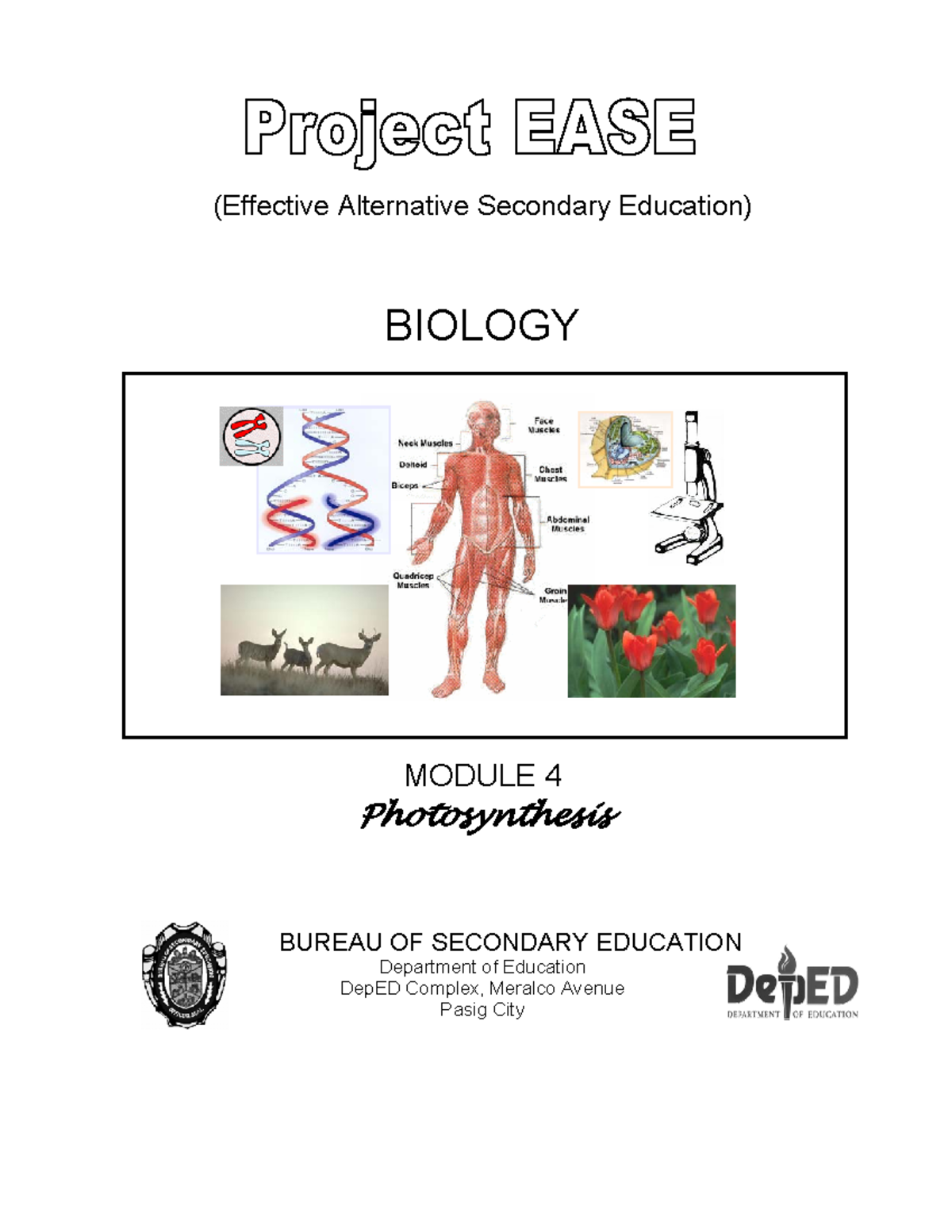 Biology M4 Photosynthesis - (Effective Alternative Secondary Education ...