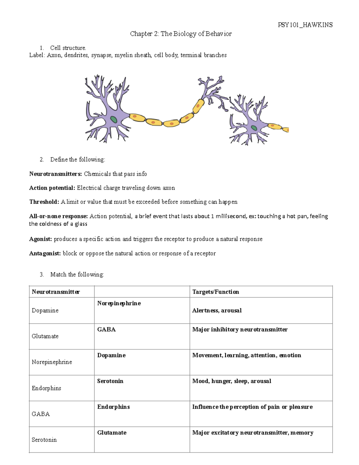 PSY101 Ch 2 Worksheet - Notes - PSY101_HAWKINS Chapter 2: The Biology ...