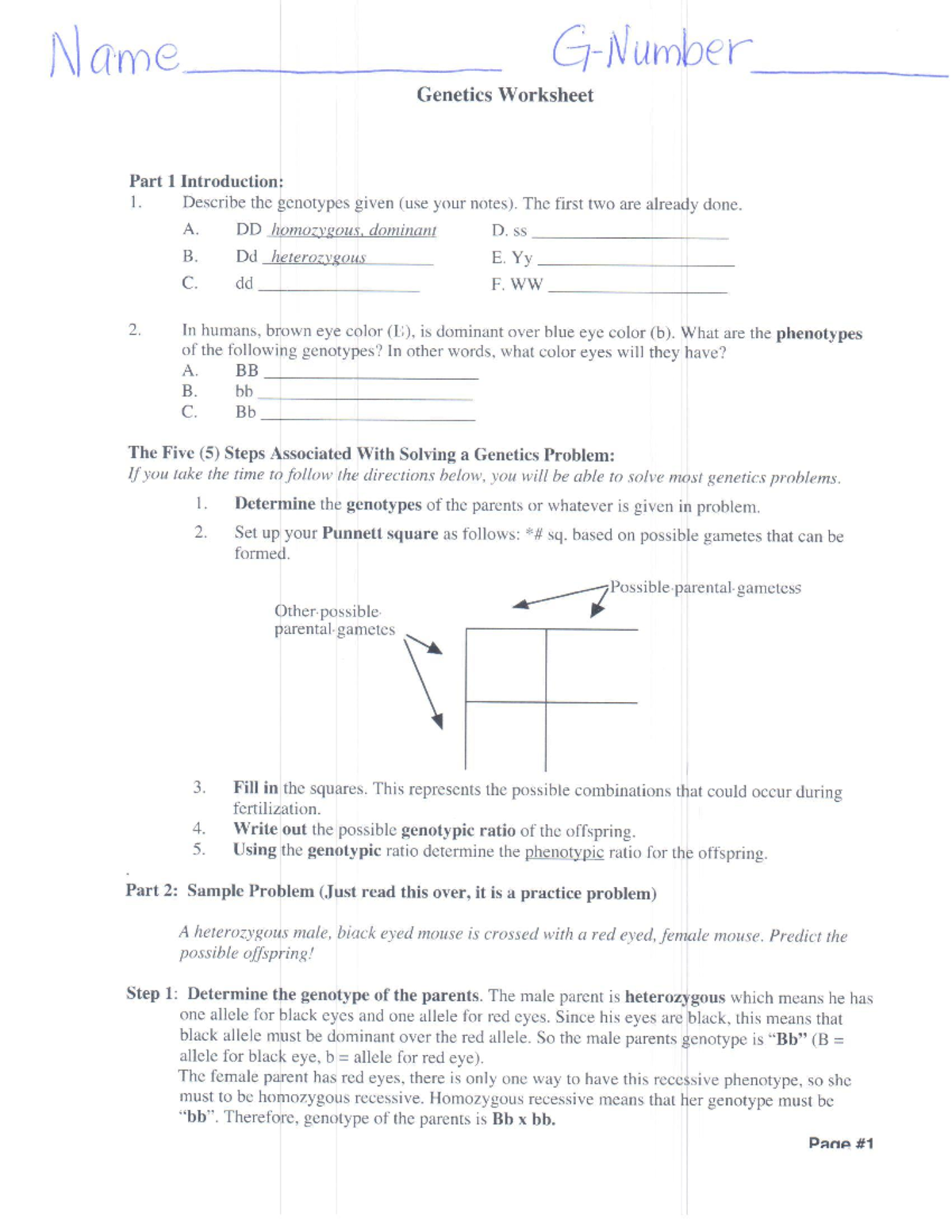 Genetics 03-17-2020 Revised Lab Activity-1 - BIOL 101 - Studocu