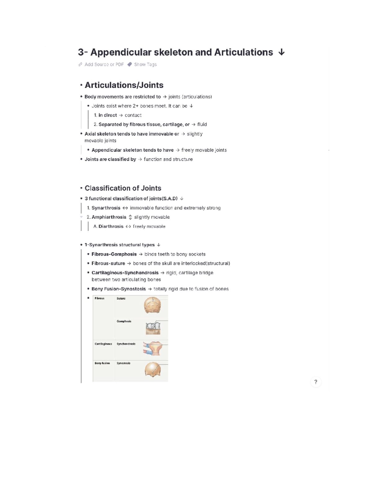Unit 2: Anatomy of Appendicular Skeleton and Articulations Notes - 3 ...