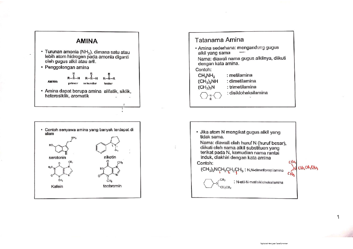 Amina - Kimia - Studocu