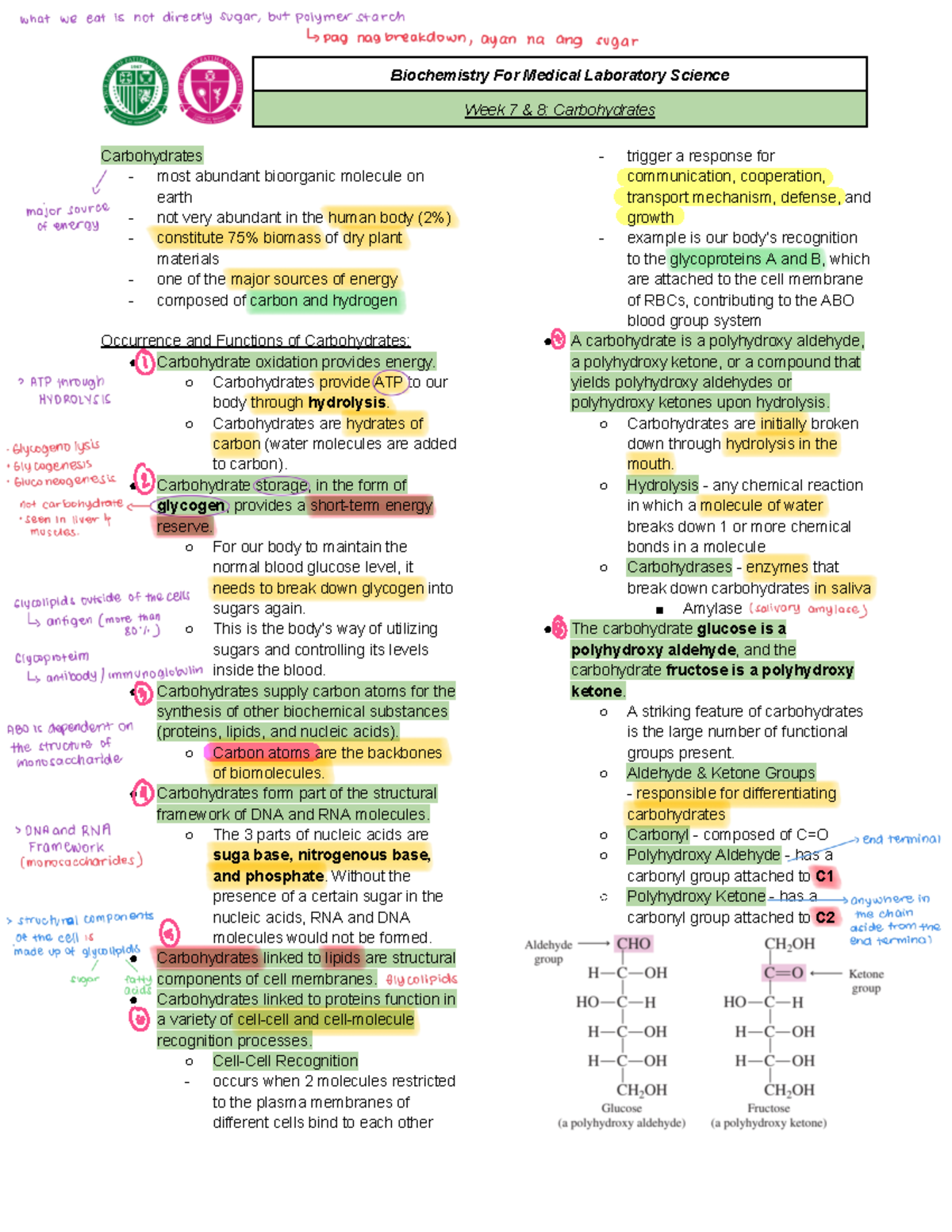 WEEK 7 & 8 Carbohydrates 2 - Biochemistry For Medical Laboratory ...