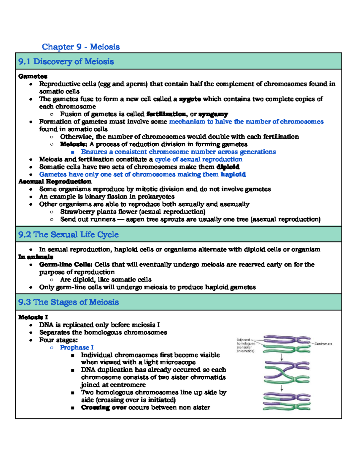 BIOL 100 Chapter 9 Notes - Meiosis - Chapter 9 - Meiosis 9 Discovery of ...