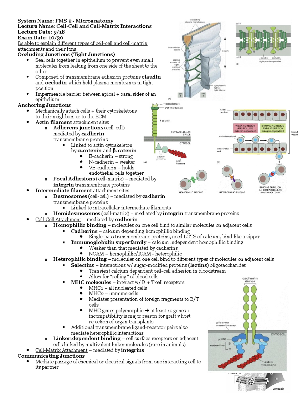 9:18 Cell-Cell and Cell-Matrix Interactions - System Name: FMS 2 ...