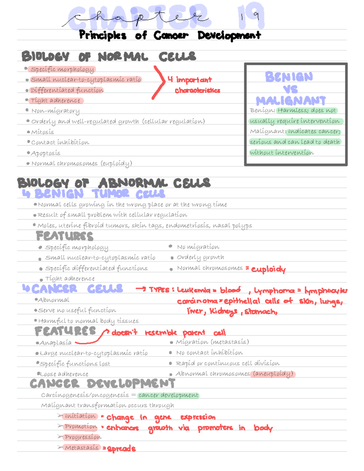 Module 1 Notes - Specific morphology Small nuclear-to-cytoplasmic ratio ...