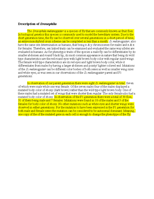 Physics Optics Pre Lab - Pre lab answers - 1 Lab 3: How can microscopes magnify objects ...