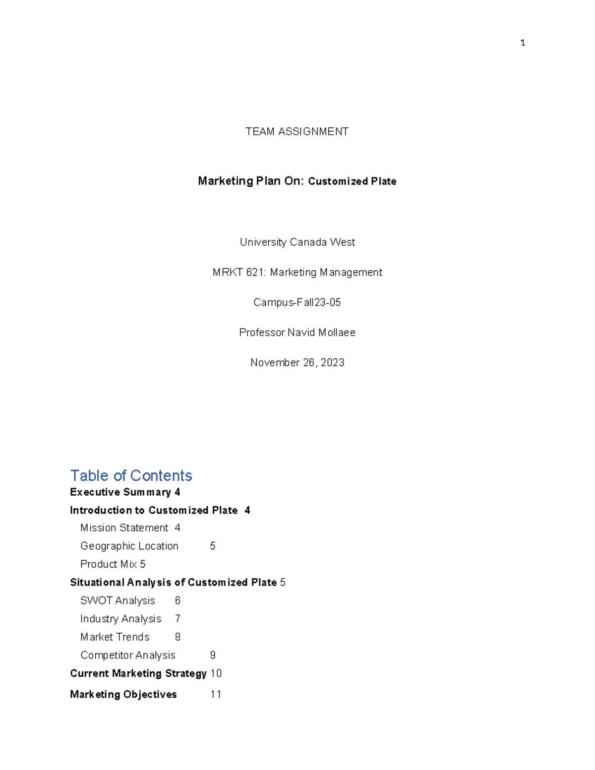 Marketing Plan - Team Assignment final - TEAM ASSIGNMENT Marketing Plan ...