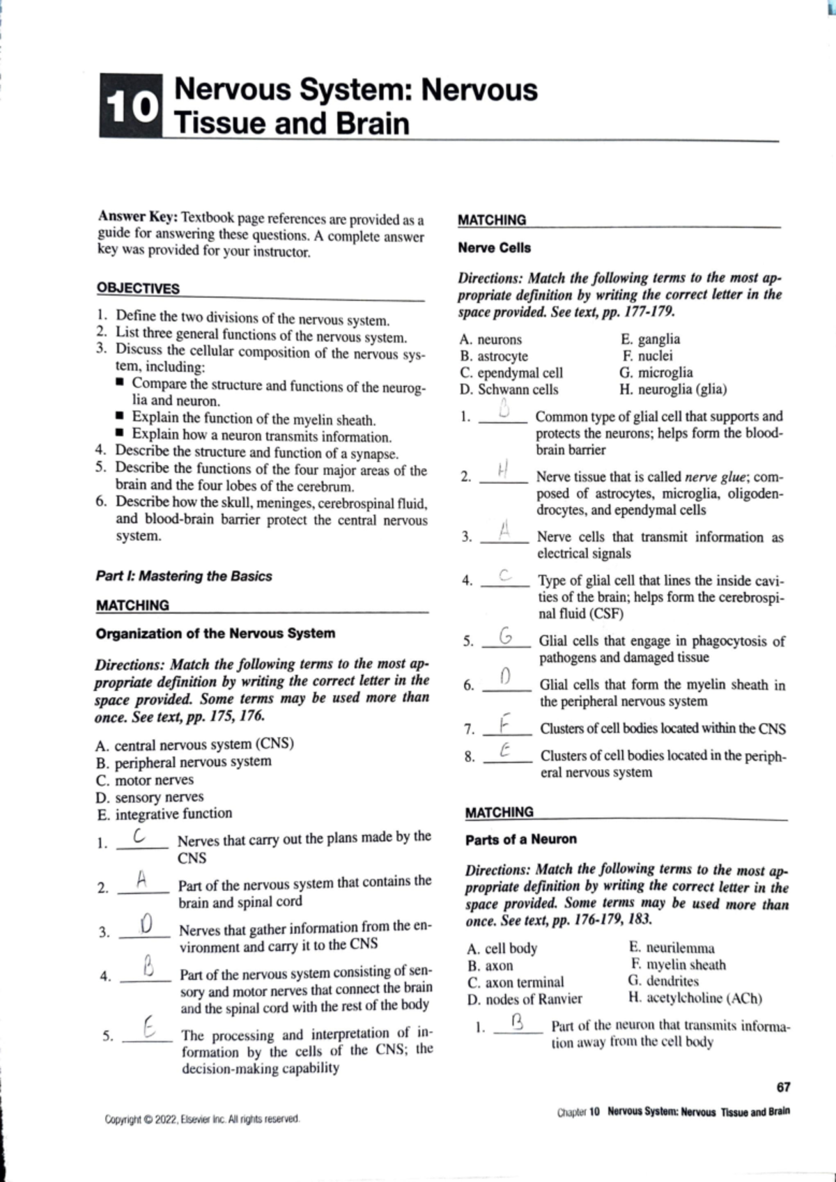 Adobe Scan Jul 30, 2023 - Quiz - i Nervous System: Nervous Tissue and ...