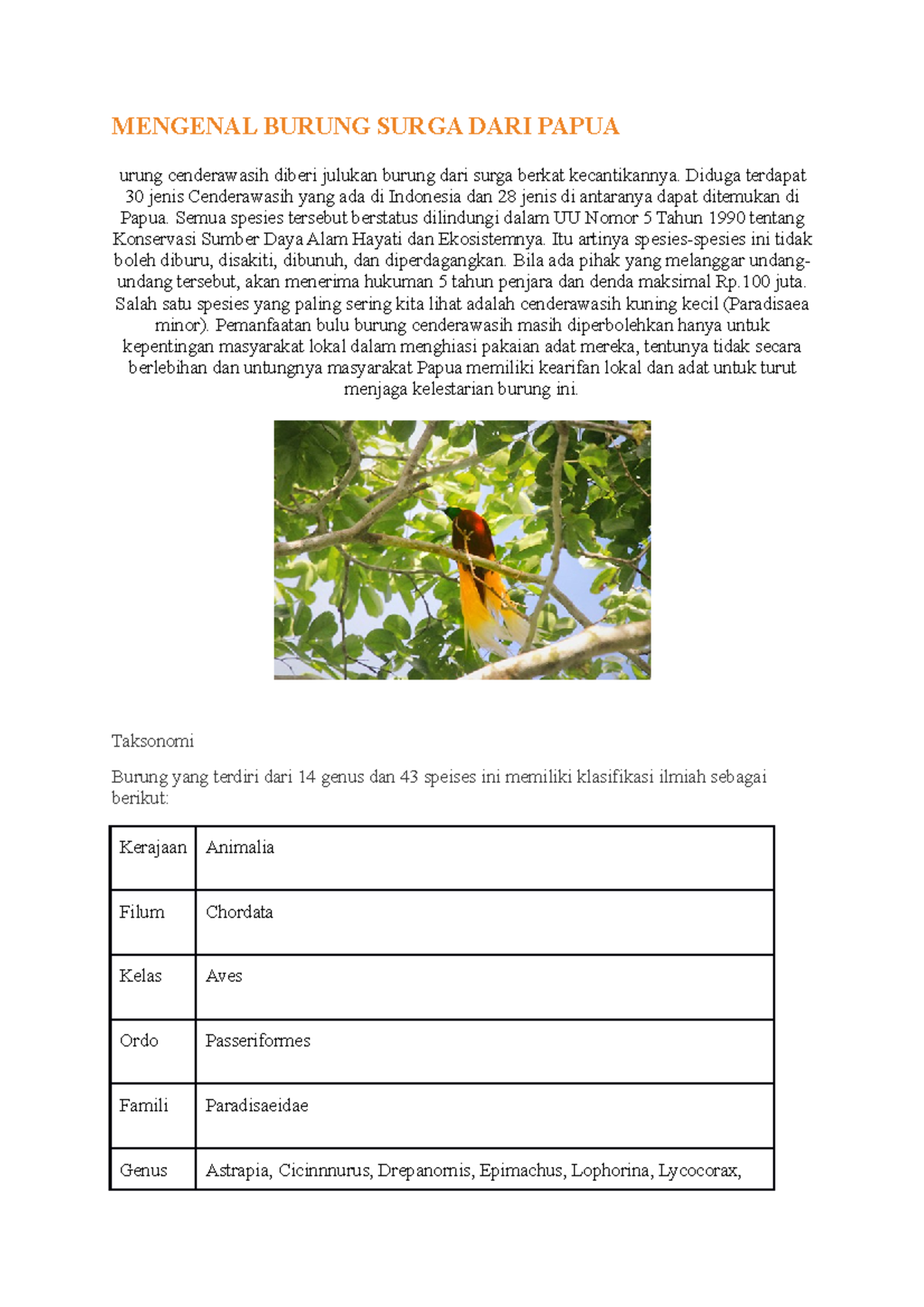 Mengenal burung surga dari papua - MENGENAL BURUNG SURGA DARI PAPUA ...