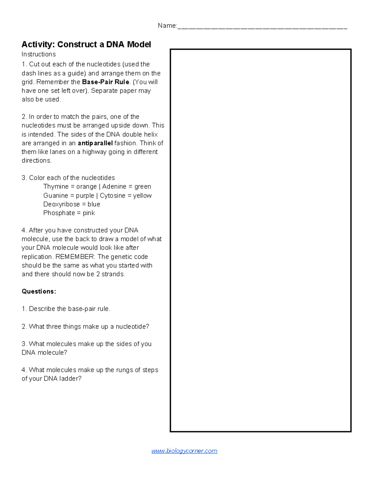 Construct a DNA Model Worksheet - Name ...