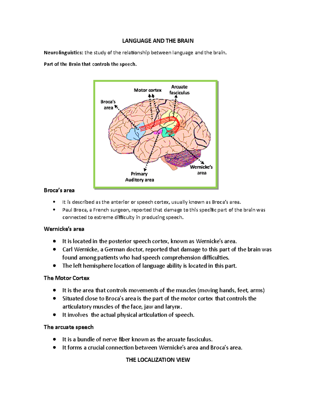 Language AND THE Brain - LANGUAGE AND THE BRAIN Neurolinguistics: the ...