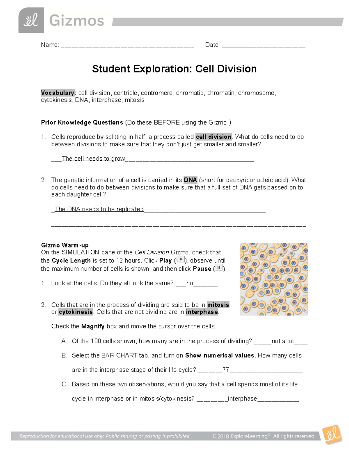 Cell Division SE 1 - Lecture notes fd - Name: Date: Student Exploration ...
